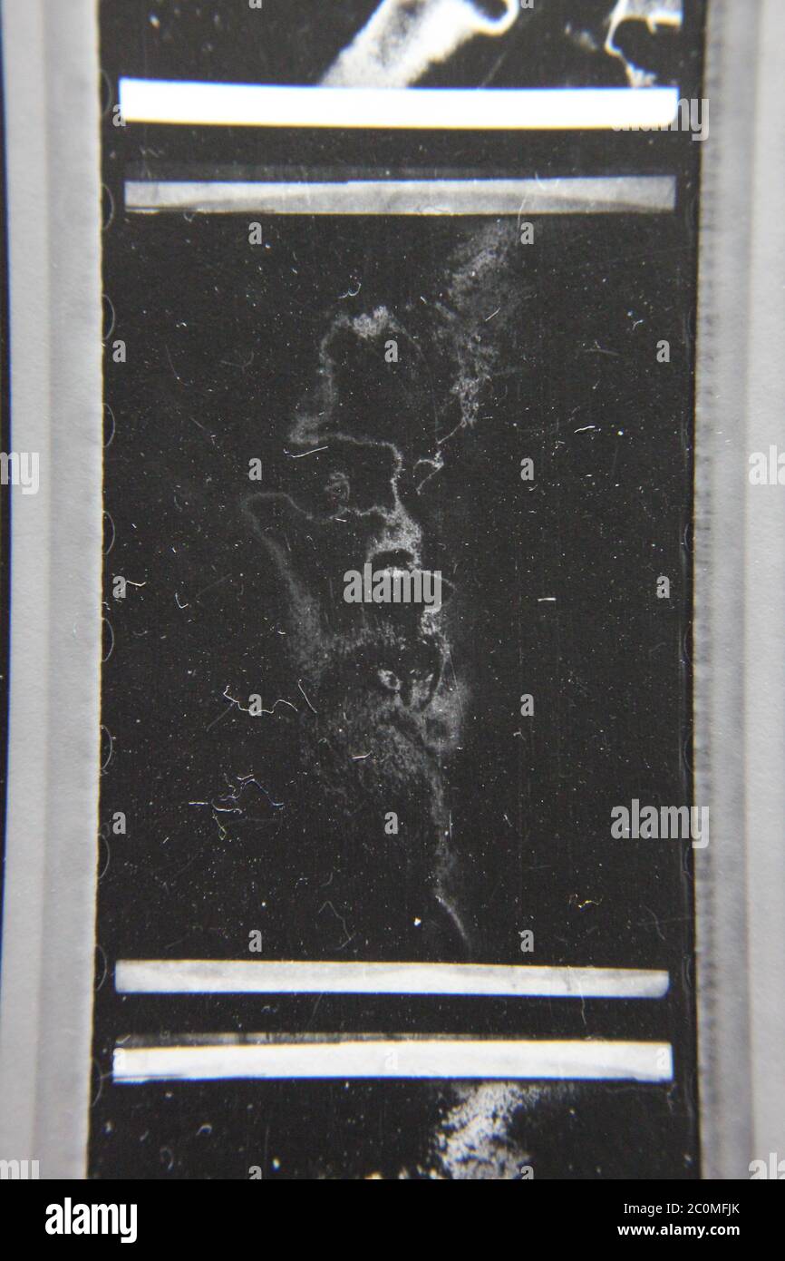 Fine 70s vintage contact print black and white extreme photography of a ...
