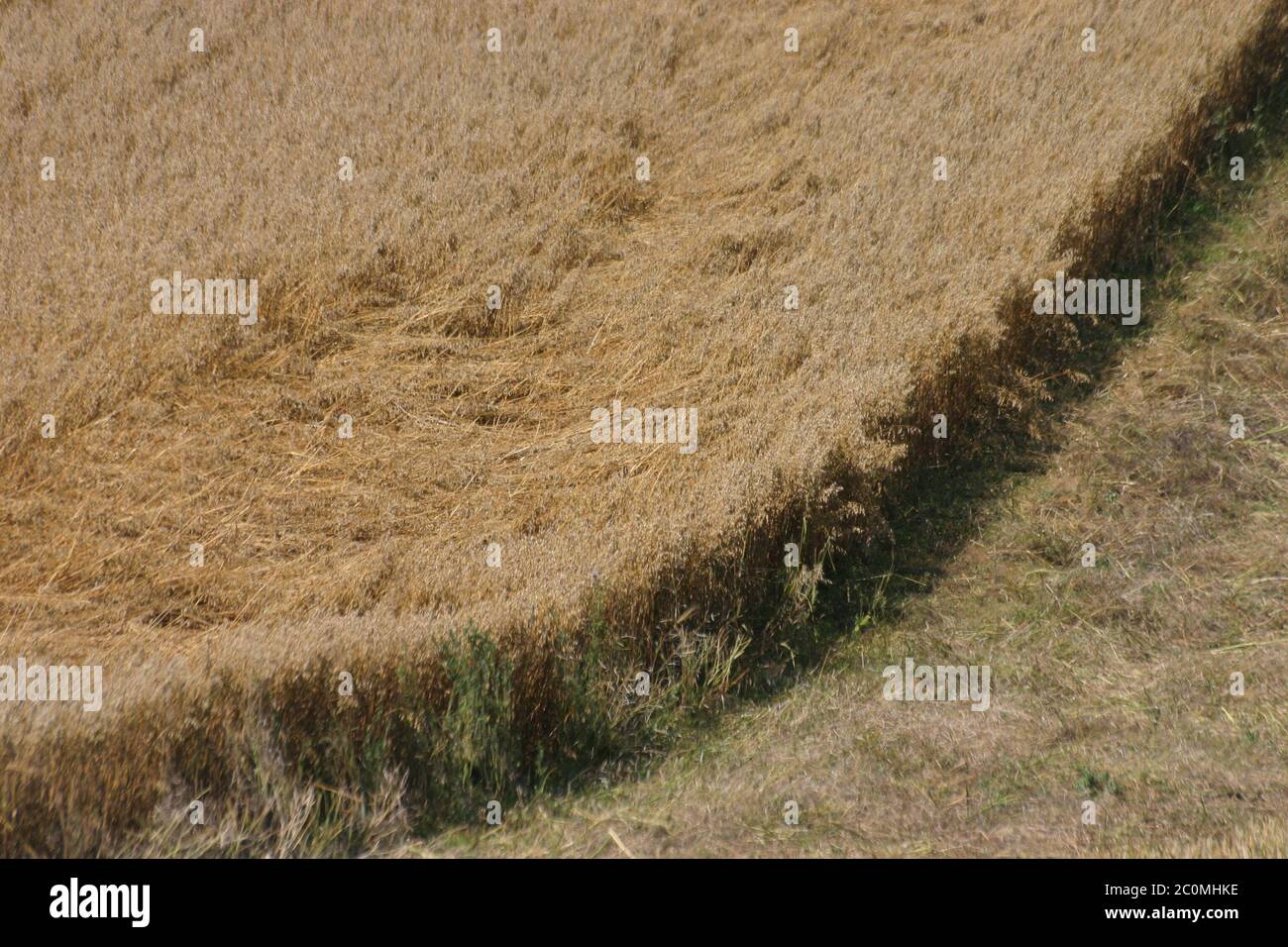 Field border hi-res stock photography and images - Alamy