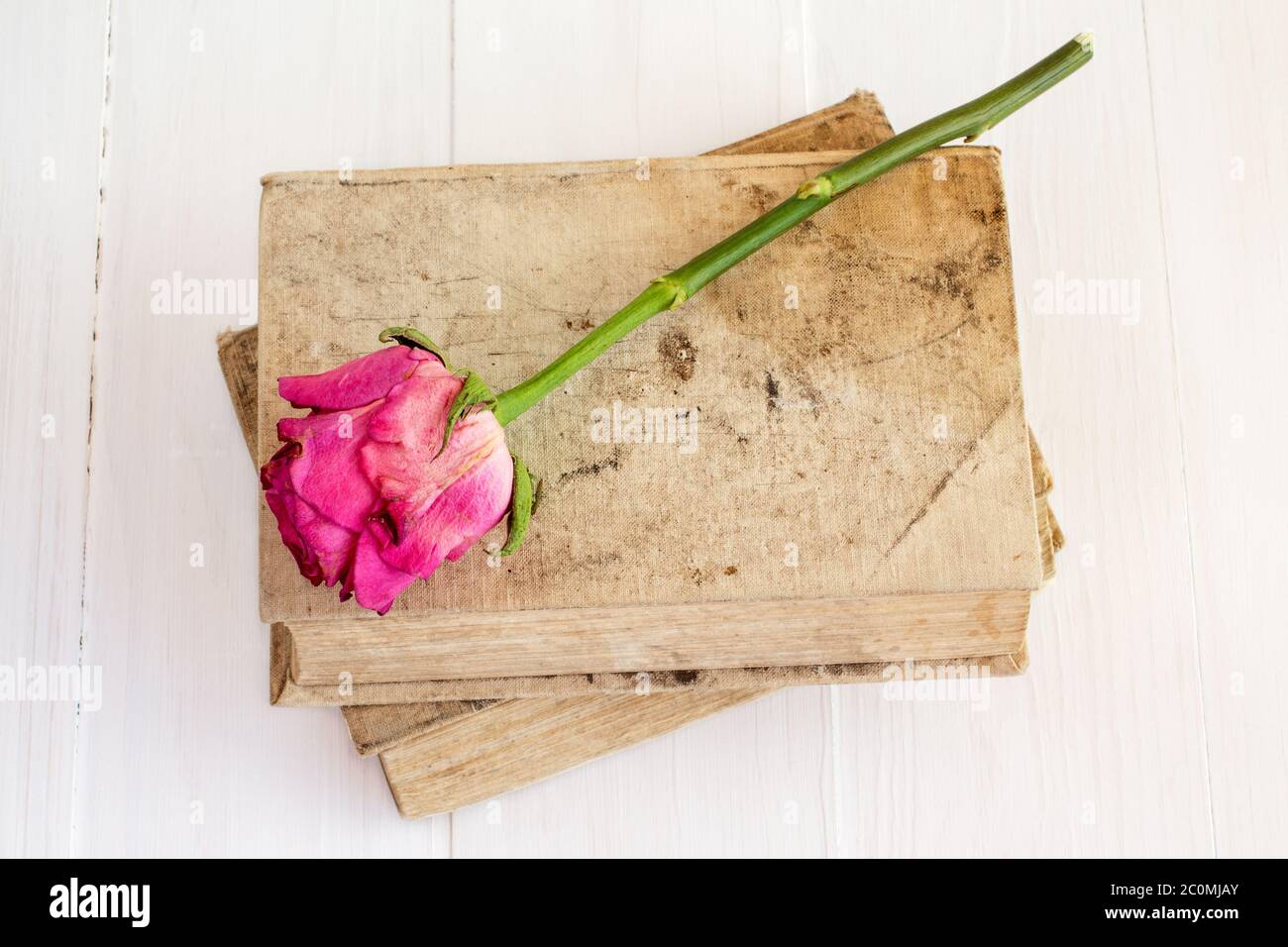 Old books and dry rose Stock Photo - Alamy