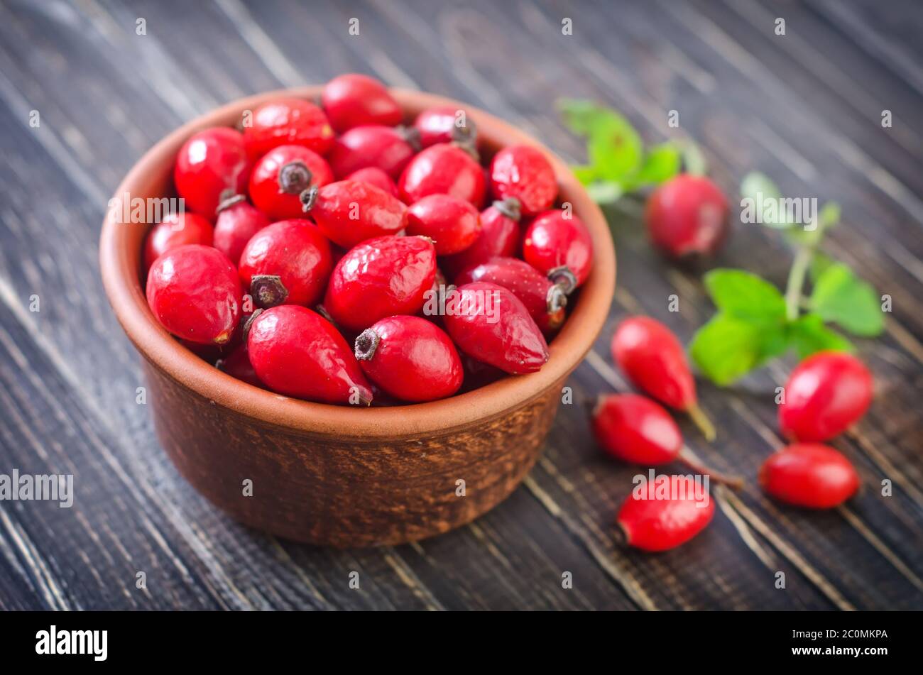 Wild Brier High Resolution Stock Photography and Images - Alamy