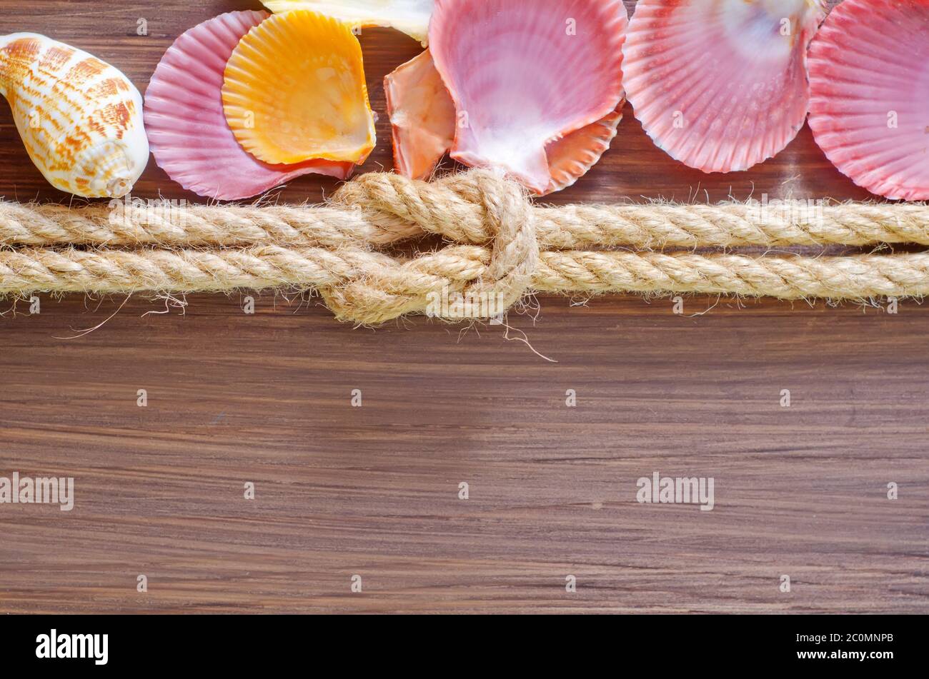 sea shells and rope Stock Photo - Alamy