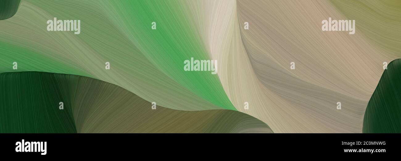 creative curved speed lines background or backdrop with gray gray, very ...