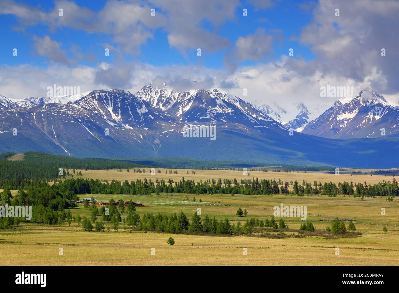 landscape in Altai mountains Stock Photo - Alamy