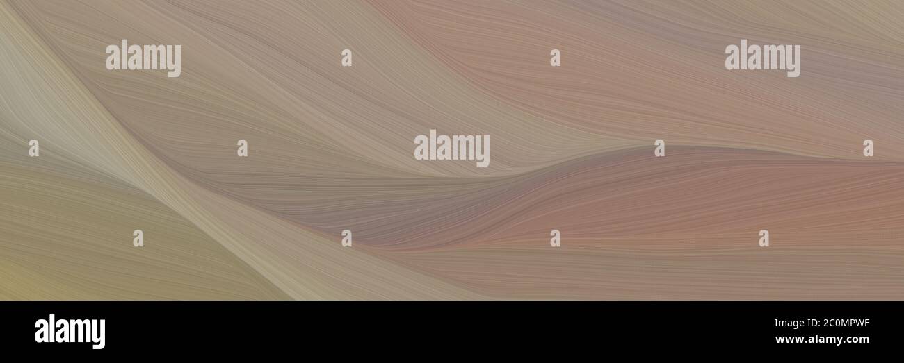 abstract curved speed lines background or backdrop with gray gray ...