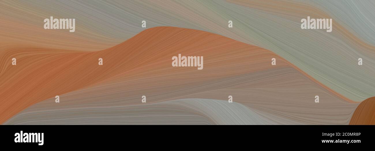 artistic curved speed lines background or backdrop with gray gray ...