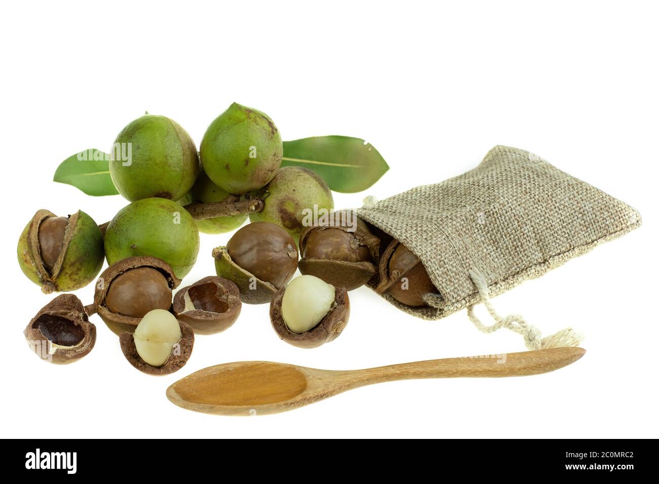 Group of peeled and unpeeled macadamia nuts at white background Stock ...