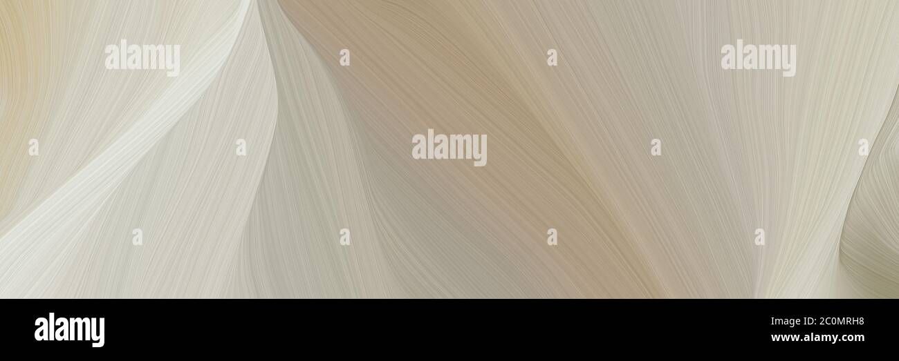 wild curved speed lines background or backdrop with ash gray, light ...
