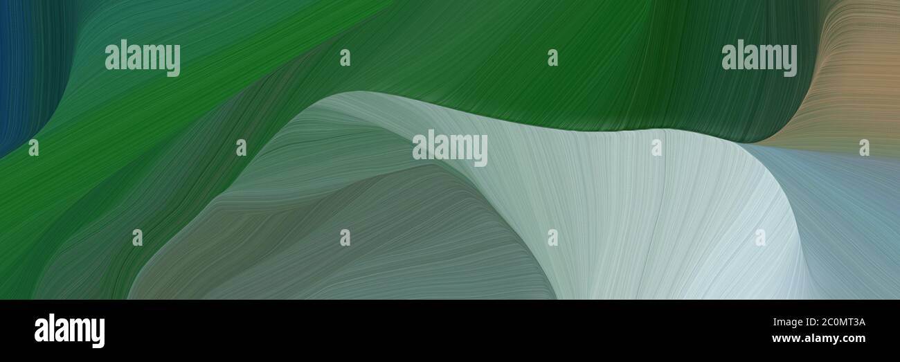 artistic curved speed lines background or backdrop with dark slate gray ...