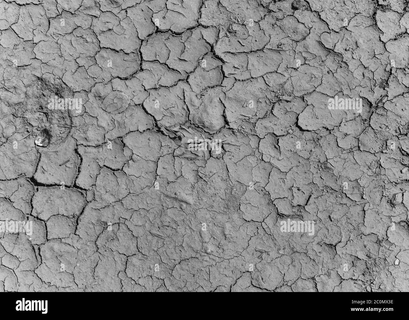 Cracked Earth Texture Black and White Stock Photos & Images - Alamy