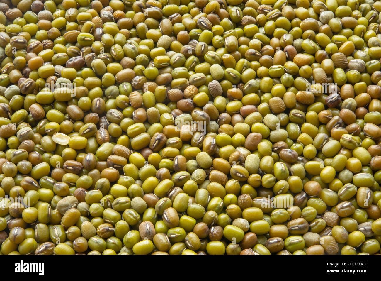 Mung peas background. Focus all over the frame Stock Photo - Alamy