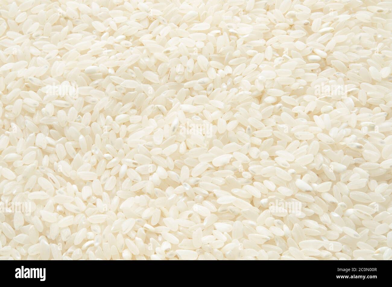 Short round grain rice background. Focus all over the frame Stock Photo ...
