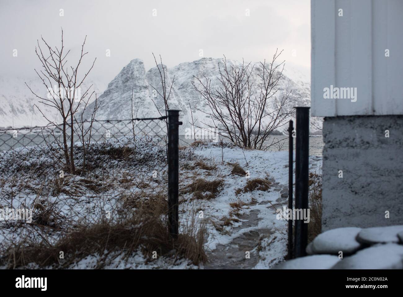 Freezing landscape in Lofoten Stock Photo - Alamy