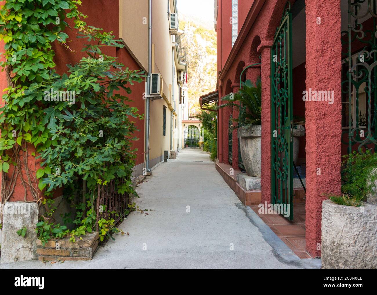 Small cobblestone paved road in hi-res stock photography and images - Alamy