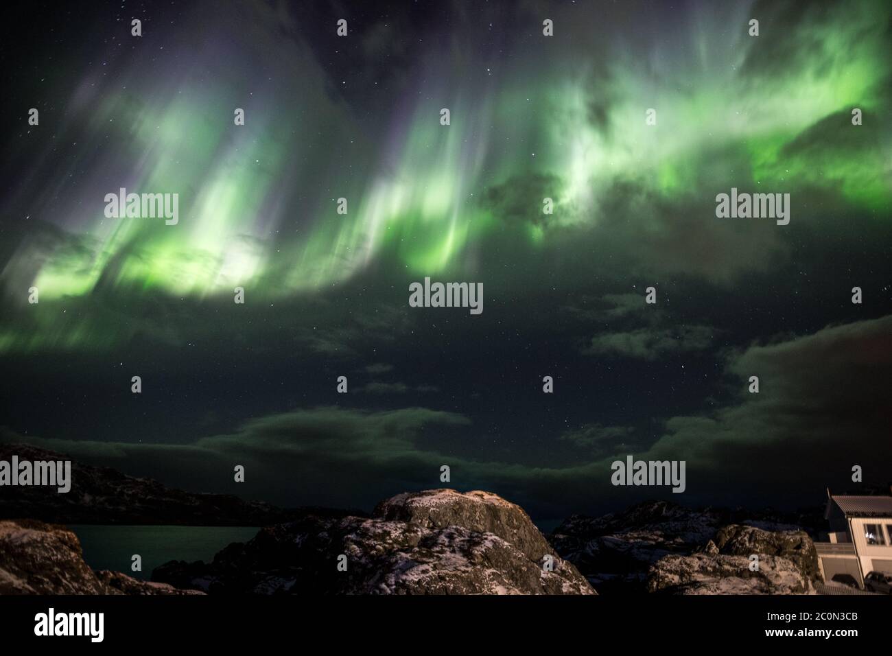 Northern lights over snowy trees hi-res stock photography and images ...