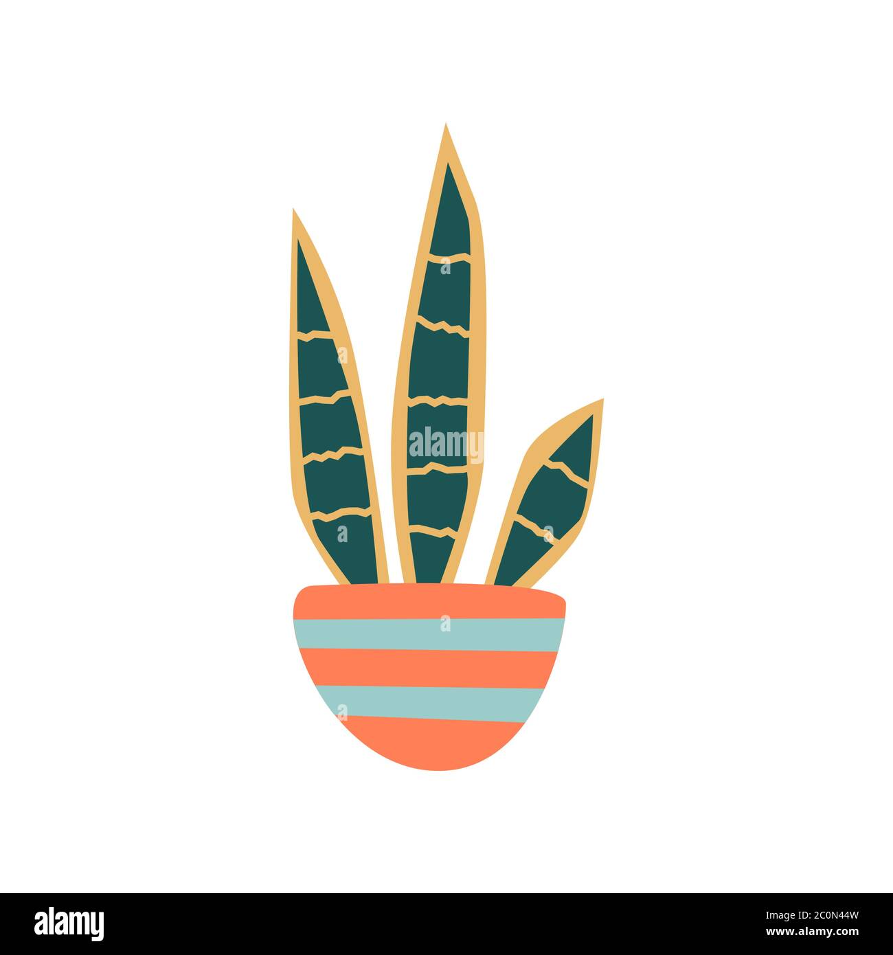 Indoor plant sansevieria in Stock Vector Images - Alamy