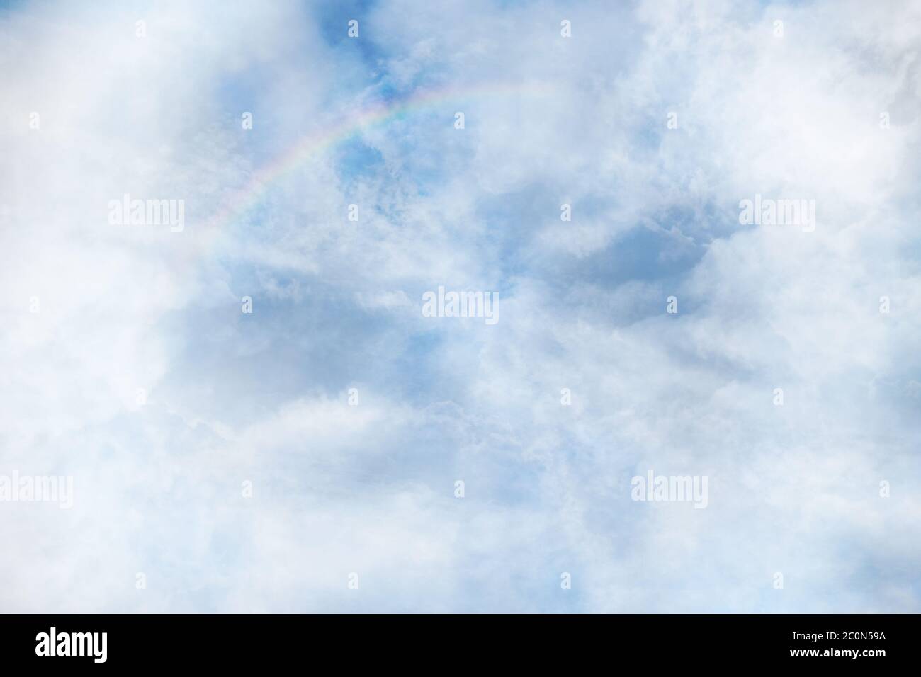 Nature Element Wallpaper