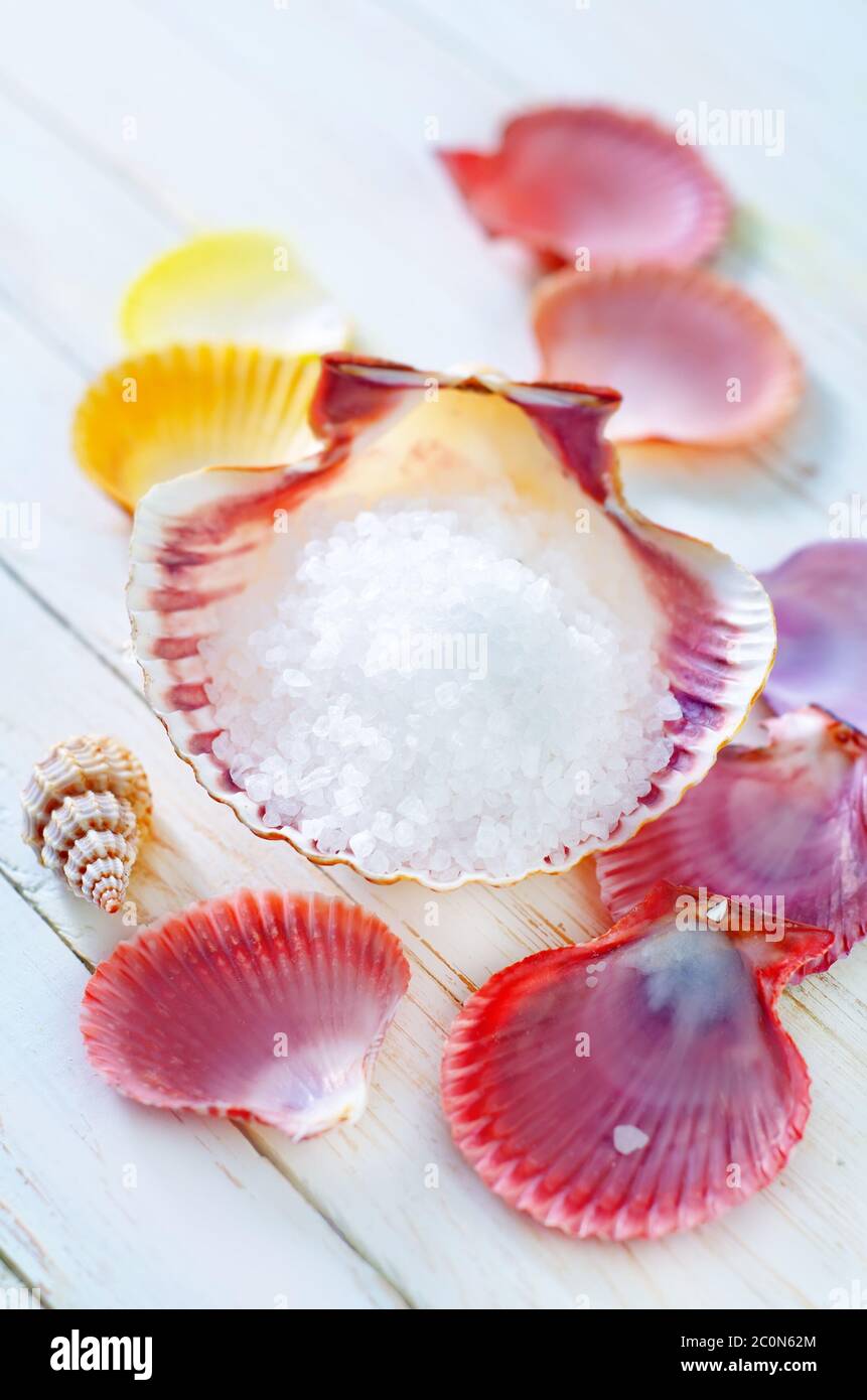 sea salt and shells Stock Photo - Alamy