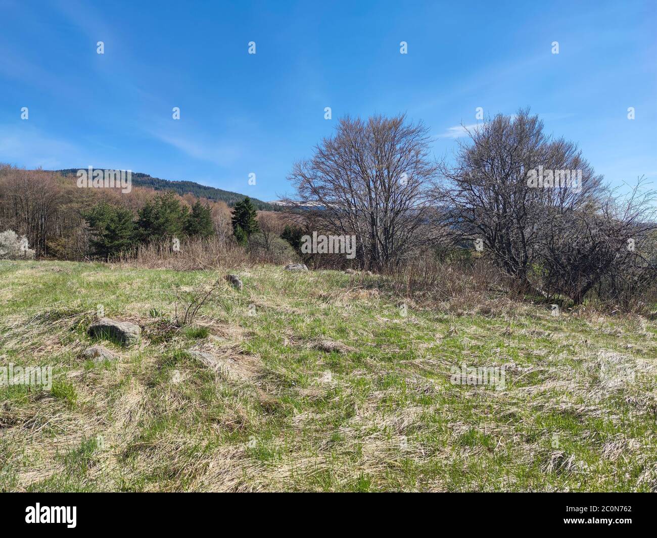 Amazing Spring view of Vitosha Mountain, Sofia City Region, Bulgaria ...