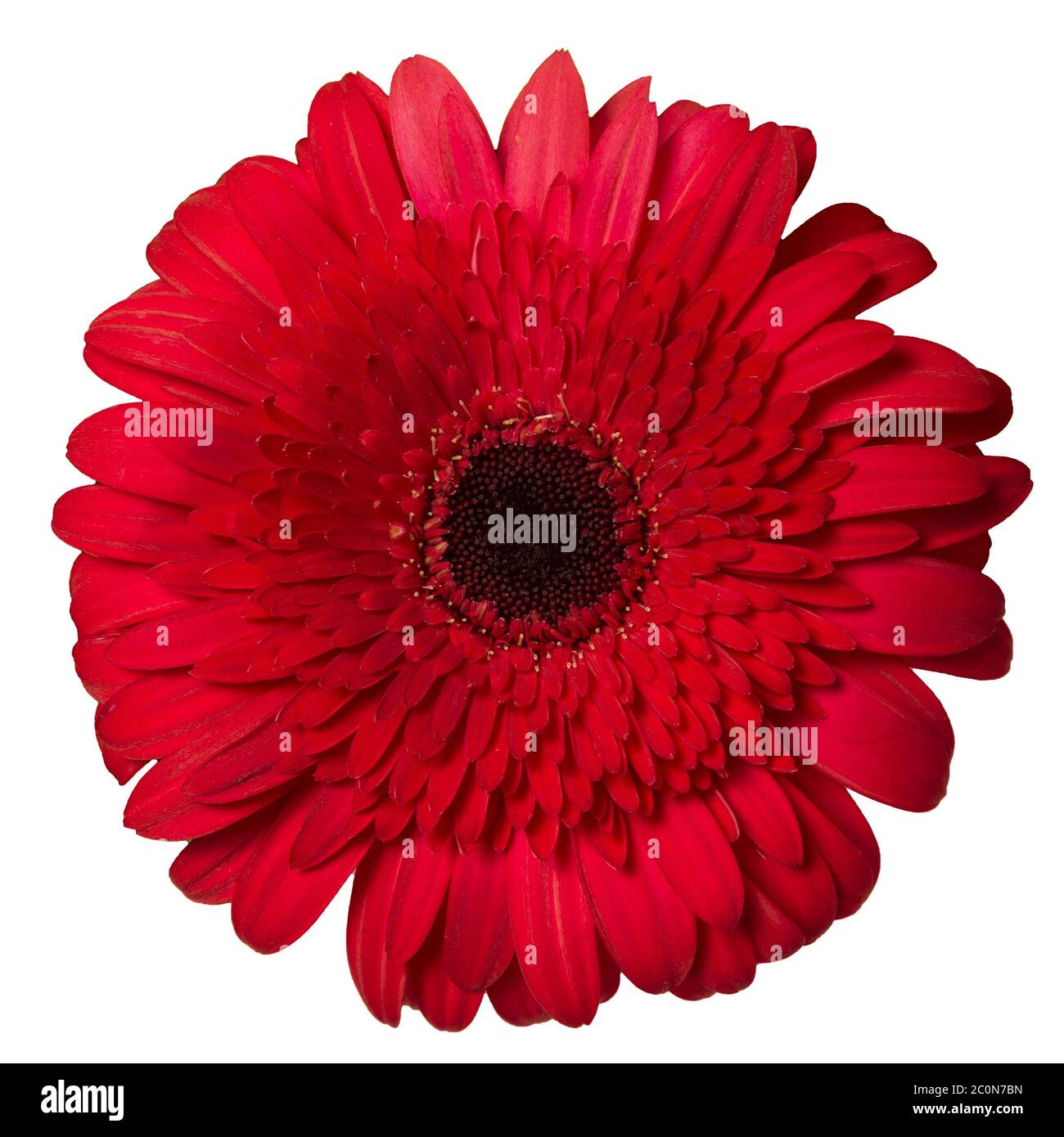 Deep focus hi-res stock photography and images - Alamy