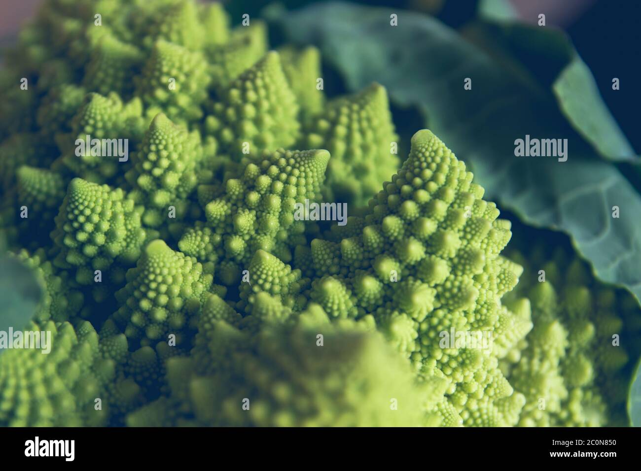 Roman cauliflower logarithmic spiral hi-res stock photography and ...