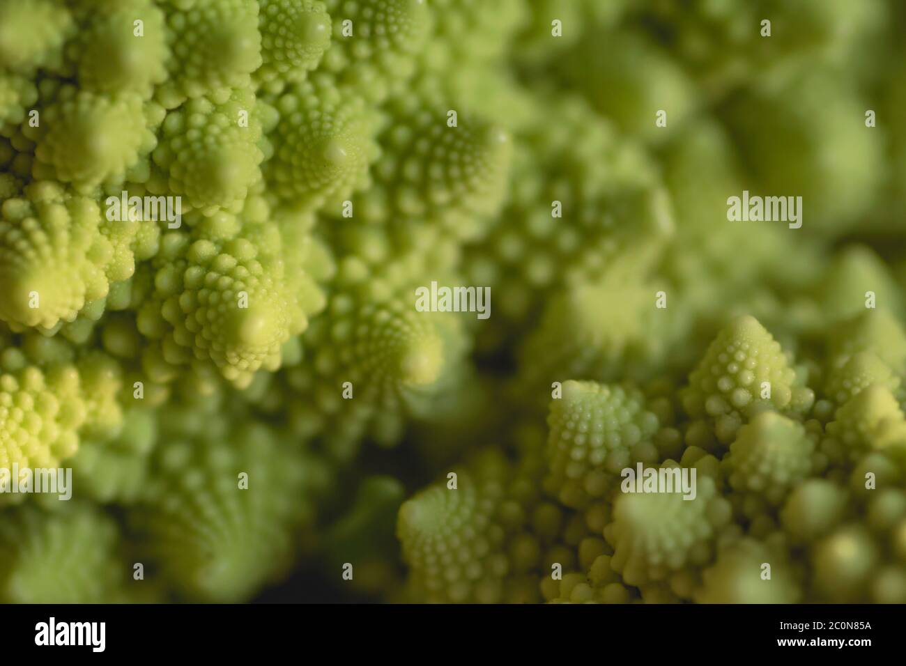 Roman cauliflower logarithmic spiral hi-res stock photography and ...