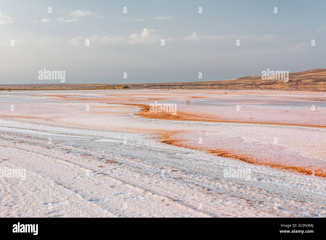 Pink salt lake Koyash in summer, cape Opuk Kerch Crimea Stock Photo - Alamy
