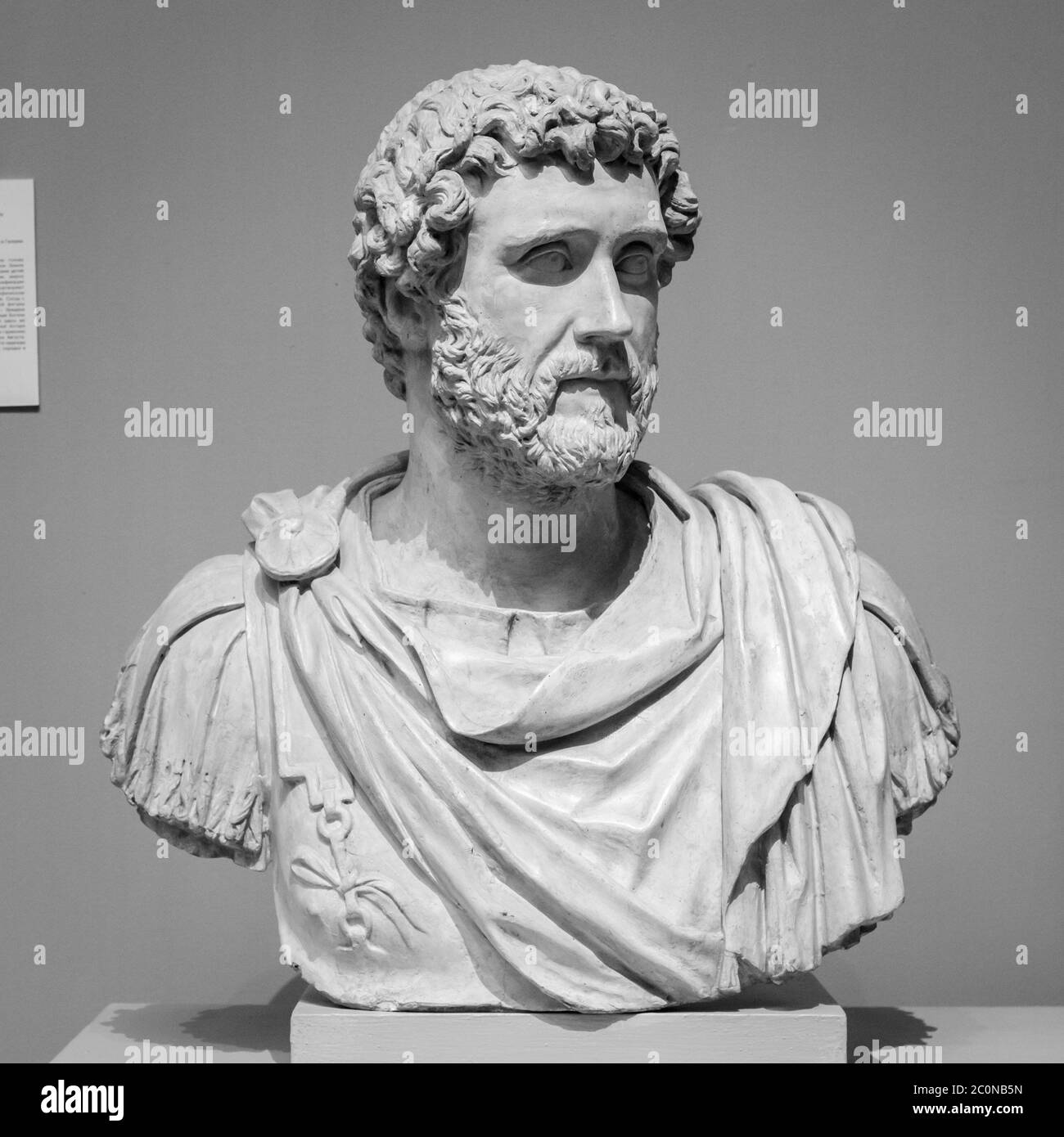 The ancient marble portrait bust Stock Photo - Alamy