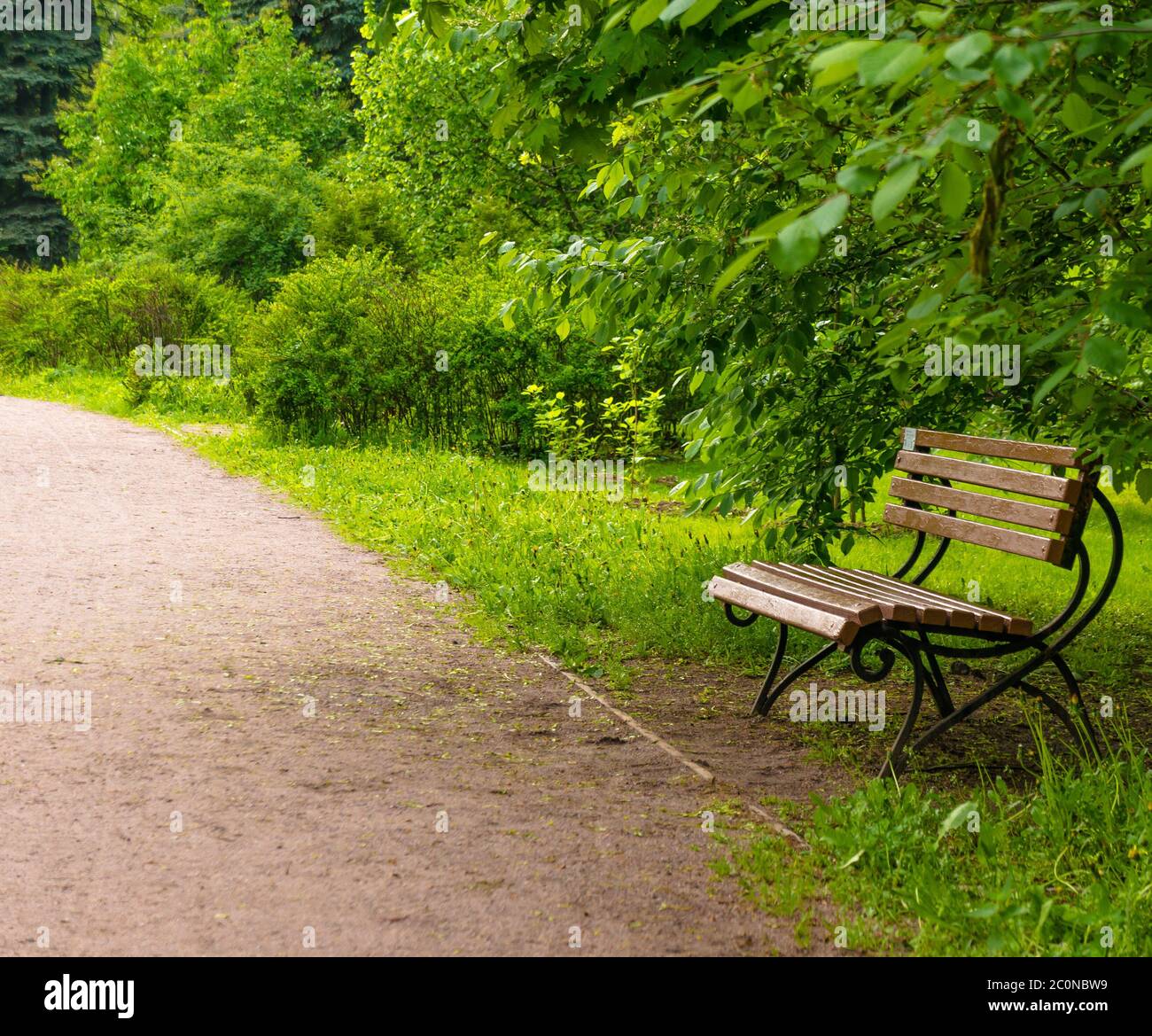 wooden bench at a park Stock Photo - Alamy