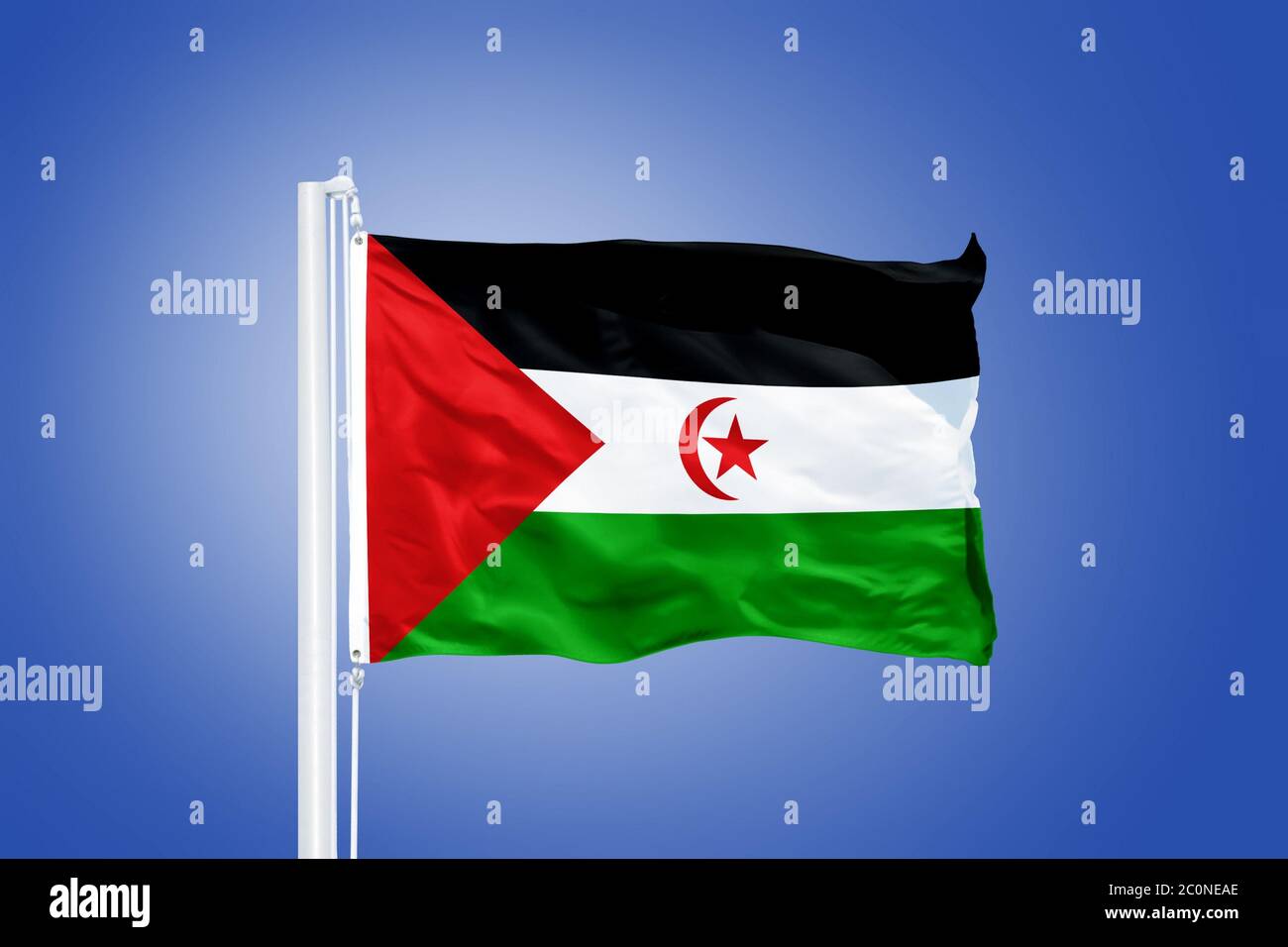 Flag of Sahrawi Arab Democratic Republic flying Stock Photo - Alamy