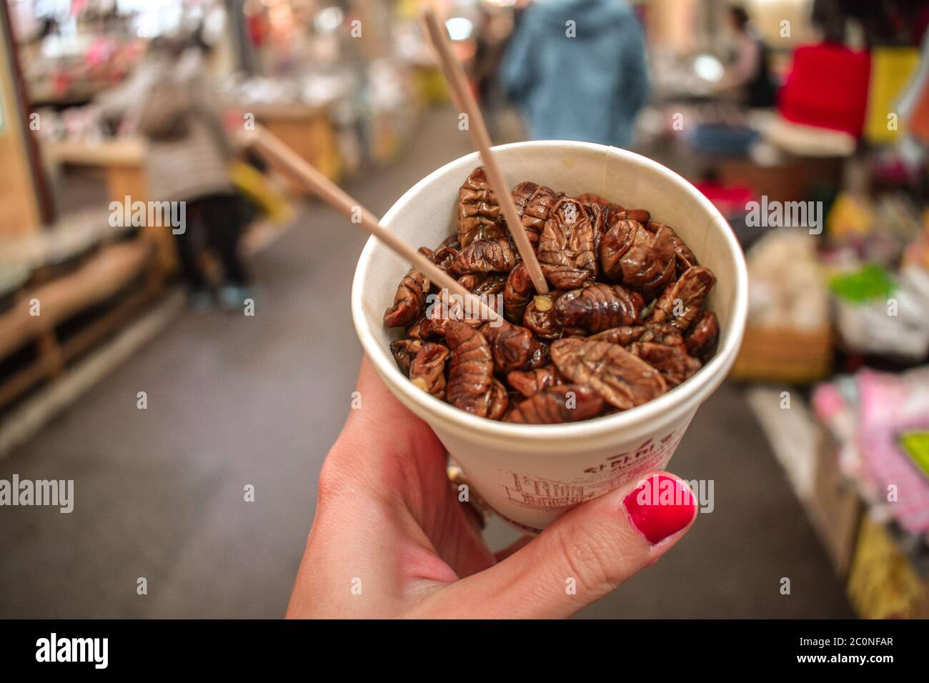 Fried silk worms in a paper cup sold on a street food market in Asia ...