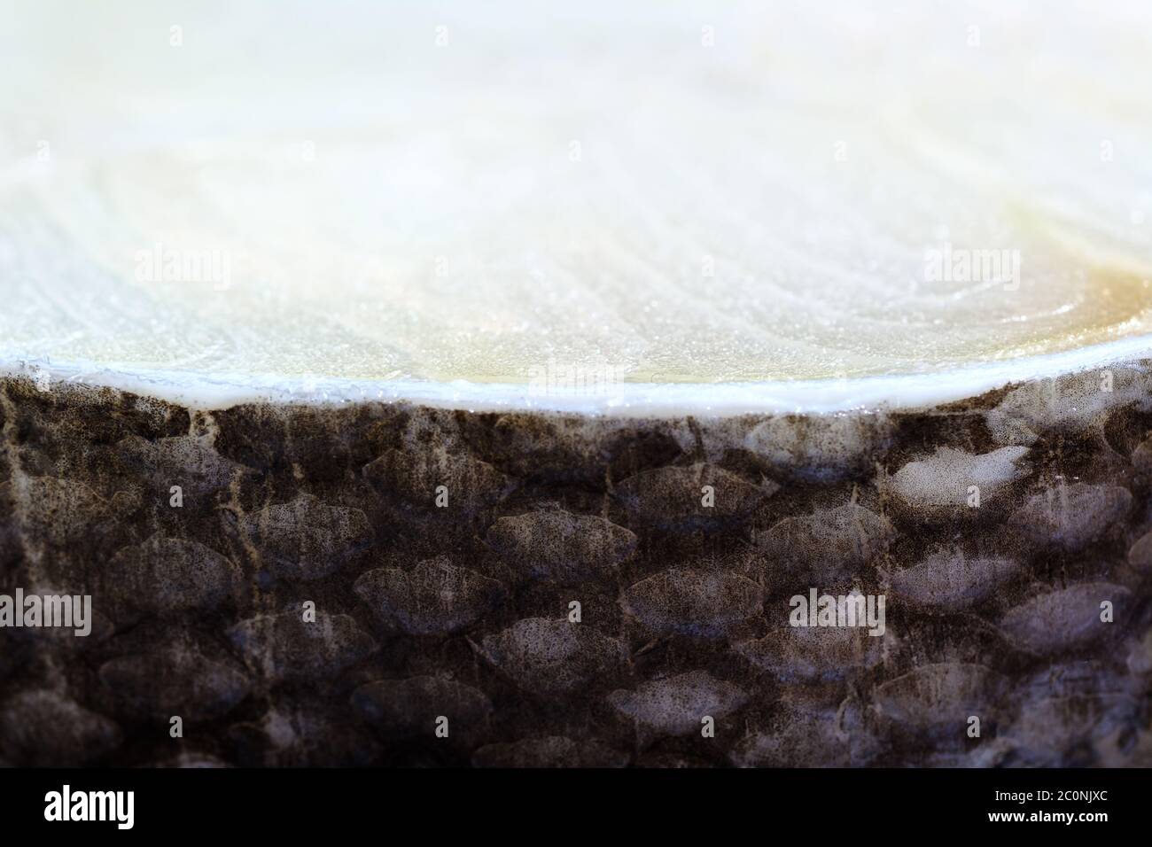 Raw steak of a black cod closeup view Stock Photo - Alamy