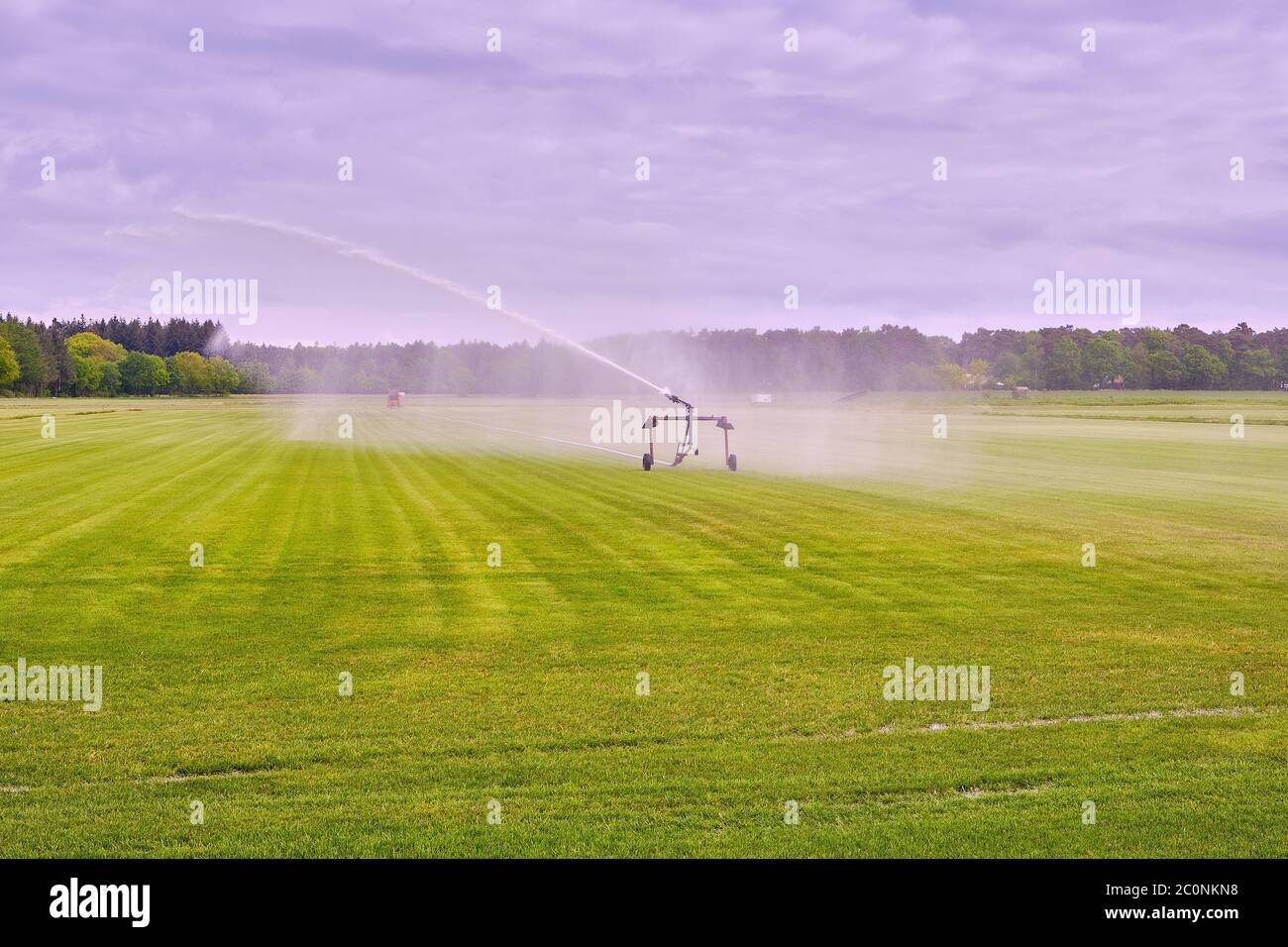 Drought crops hi-res stock photography and images - Alamy