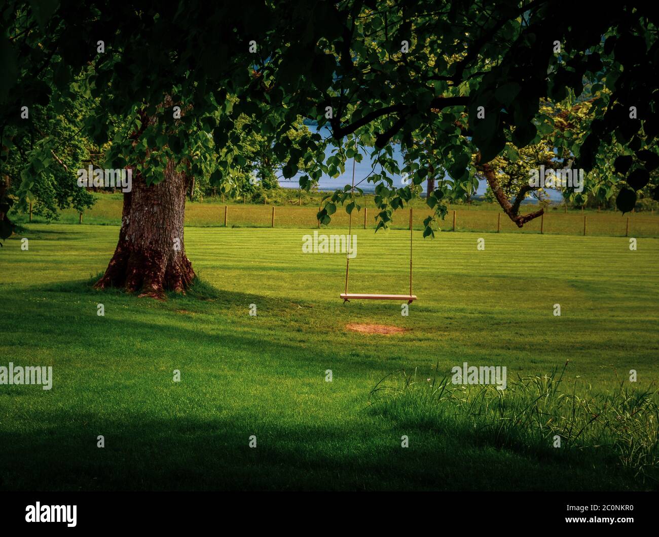Tree facing hi-res stock photography and images - Alamy