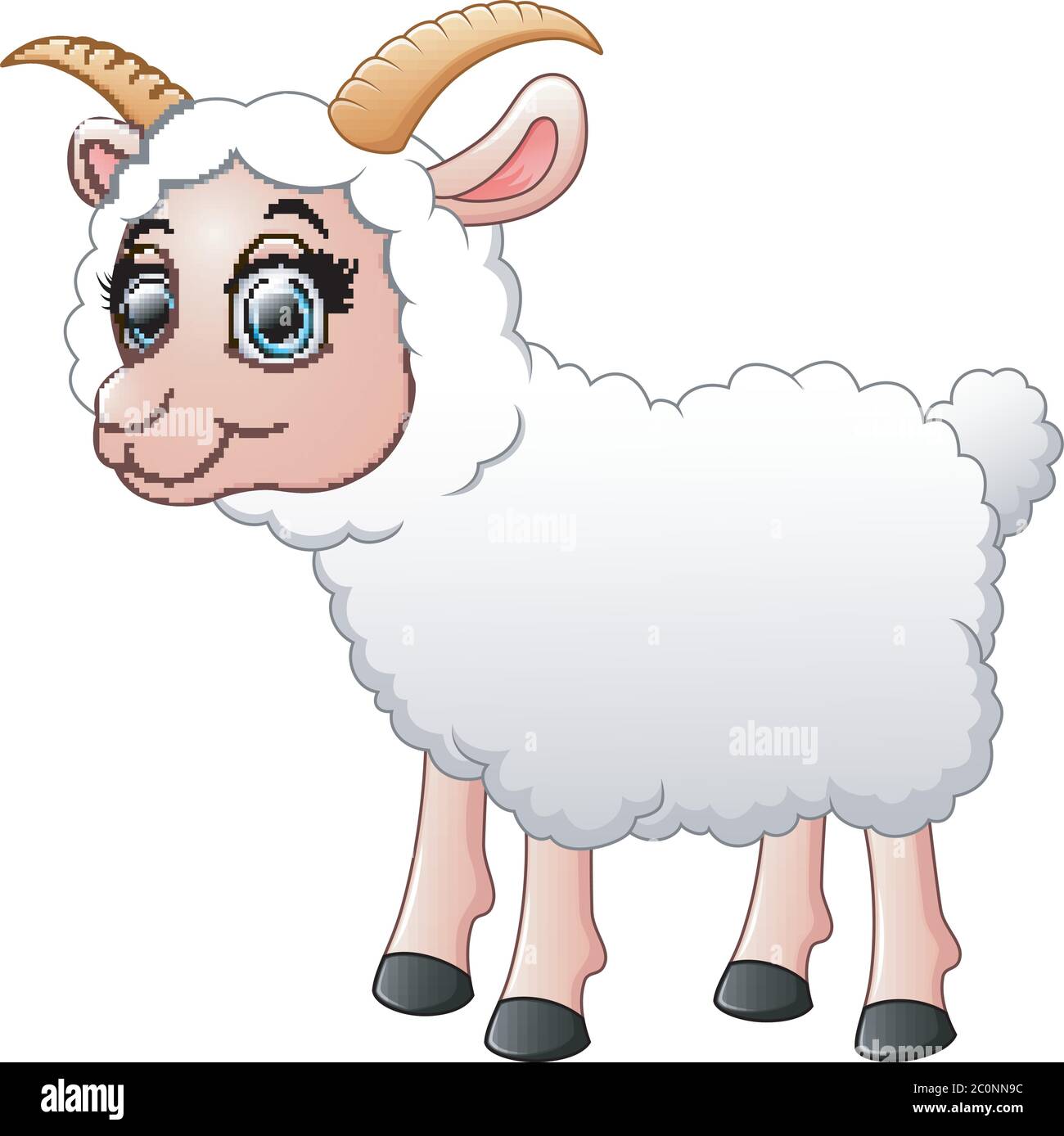 Cute Sheep Animation