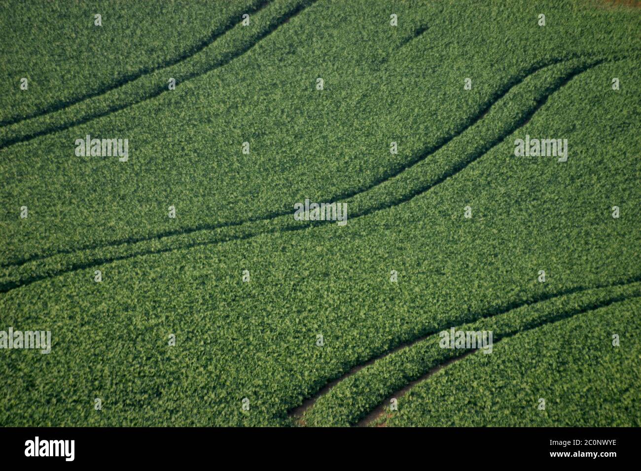 Tracks in field 1 Stock Photo - Alamy