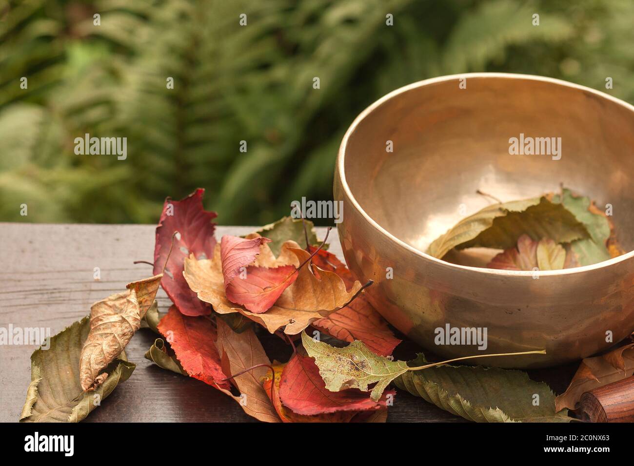 Tibetan singing bowl made of seven metals Stock Photo - Alamy