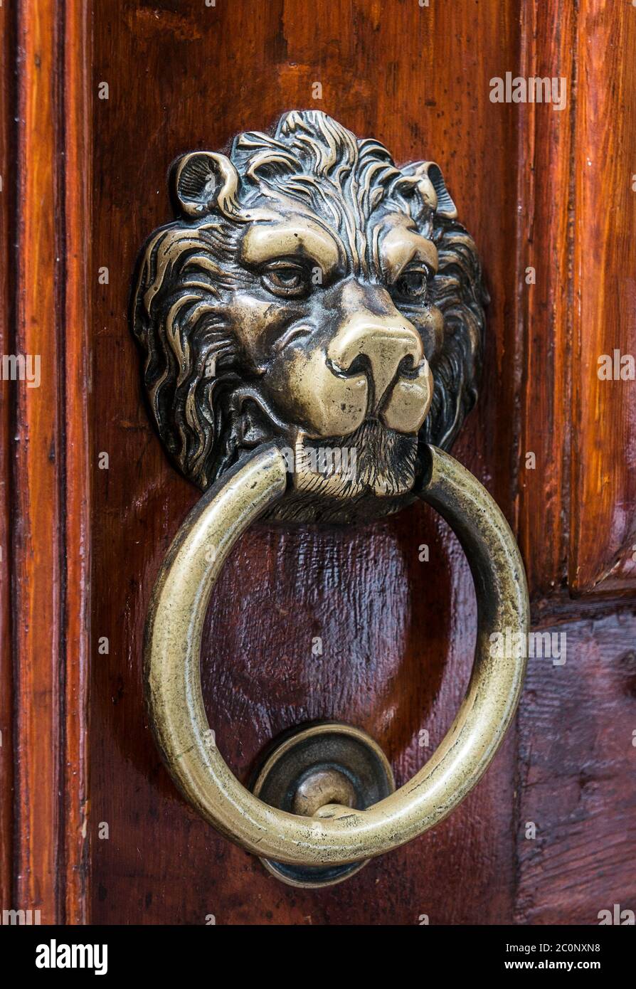 Lion head, brass door knocker Stock Photo - Alamy