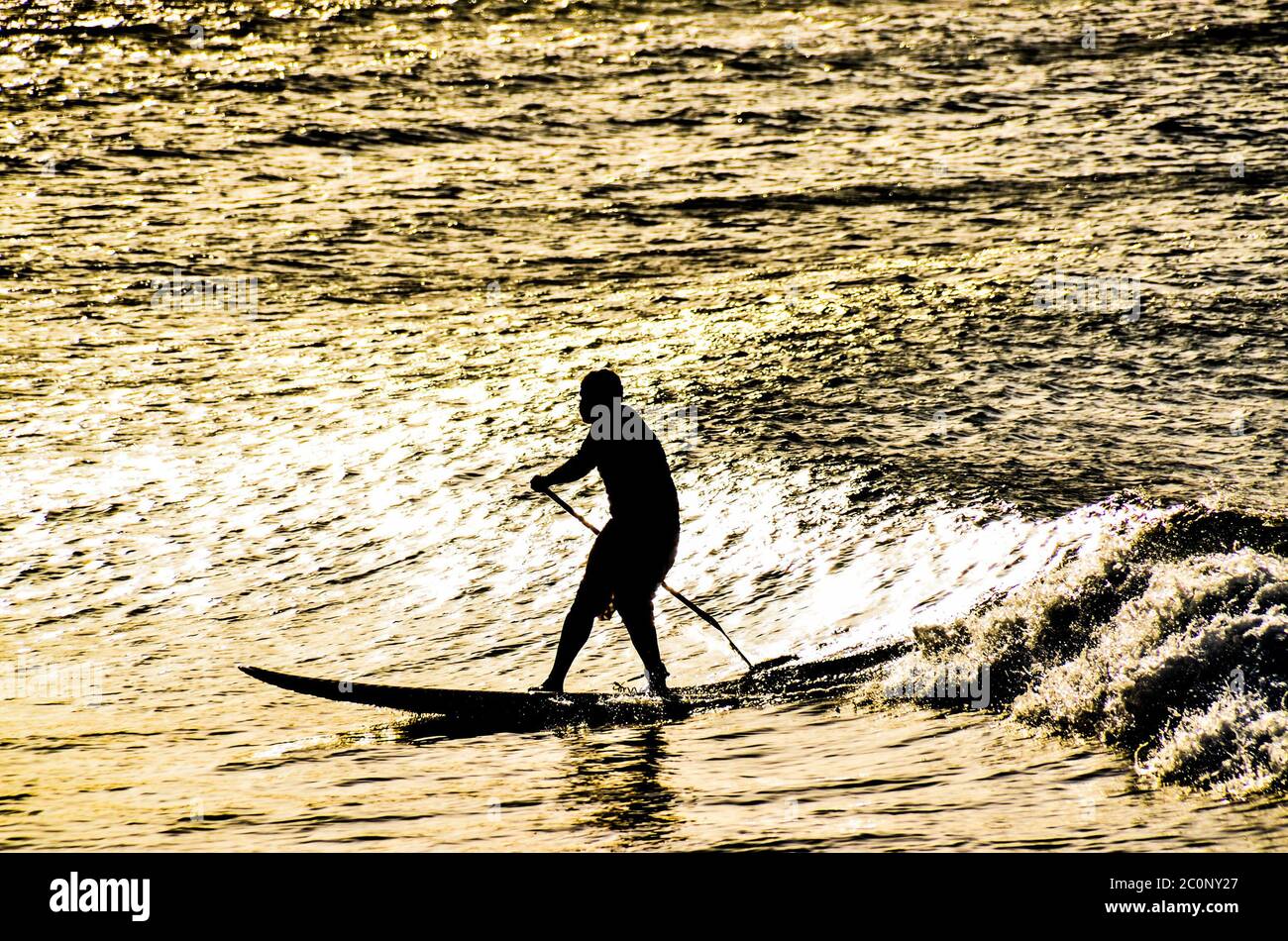 Fearless surfer hi-res stock photography and images - Alamy