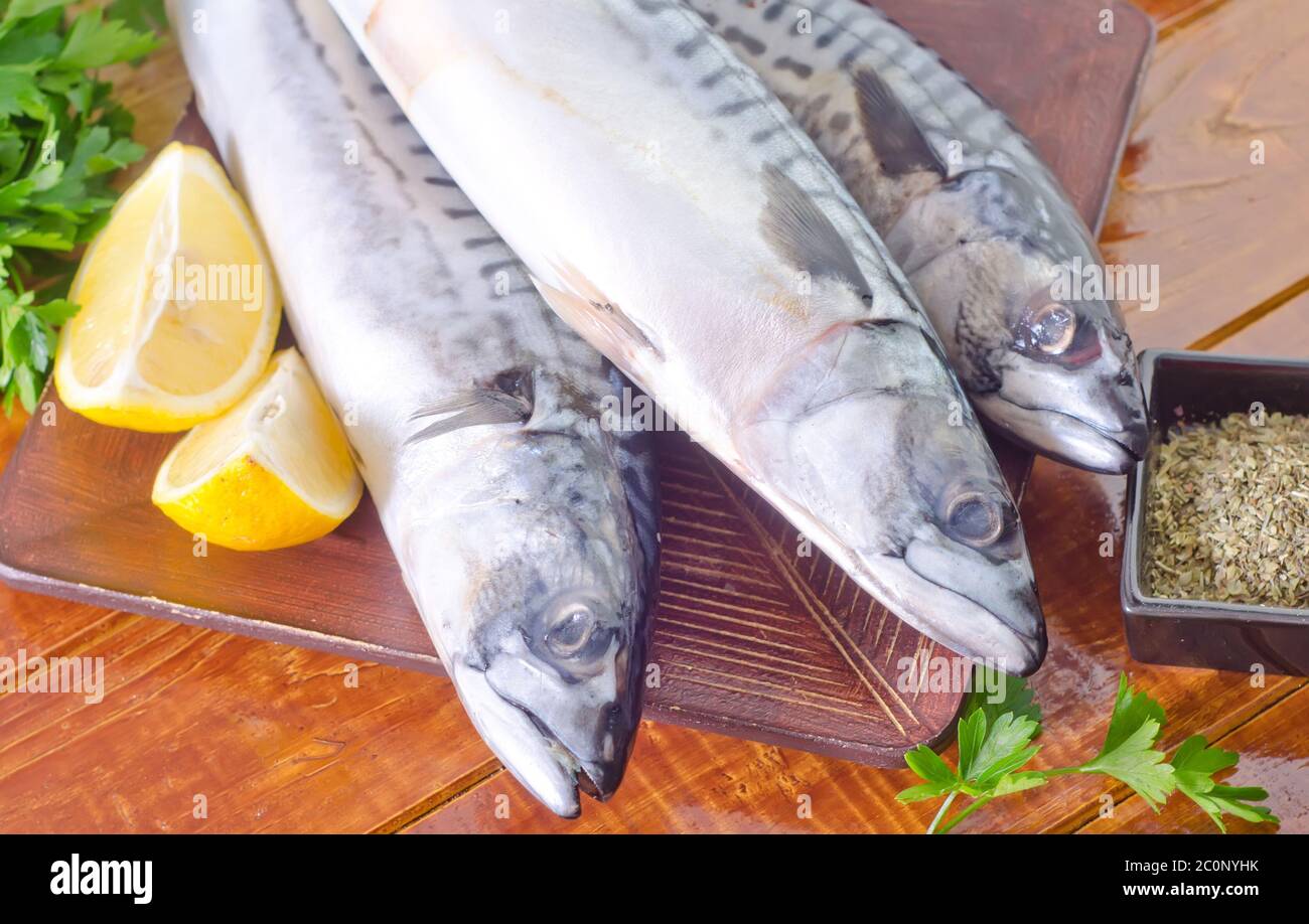 Hardhead fish hi-res stock photography and images - Alamy