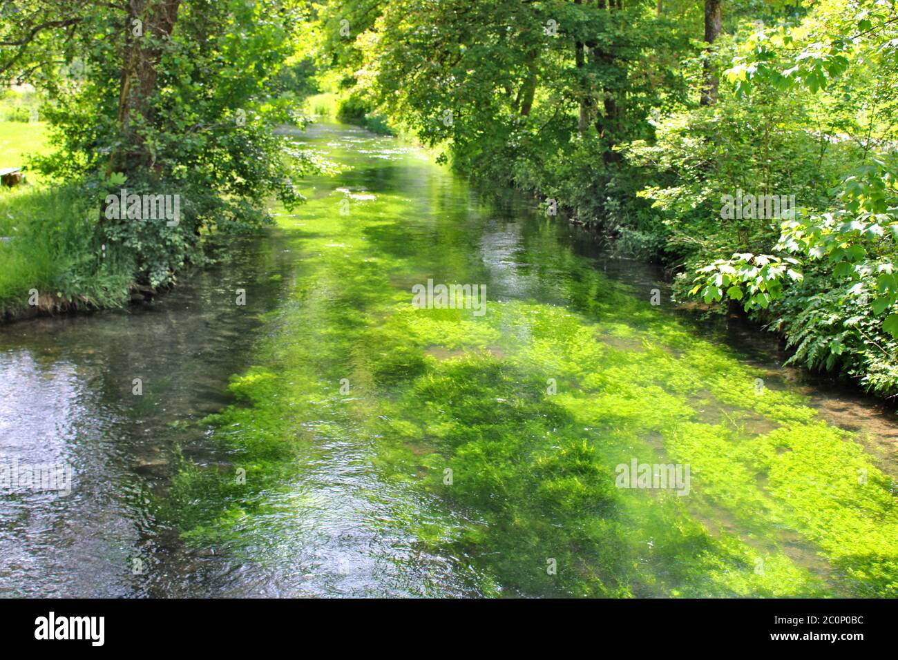 a stream with seaweed Stock Photo - Alamy