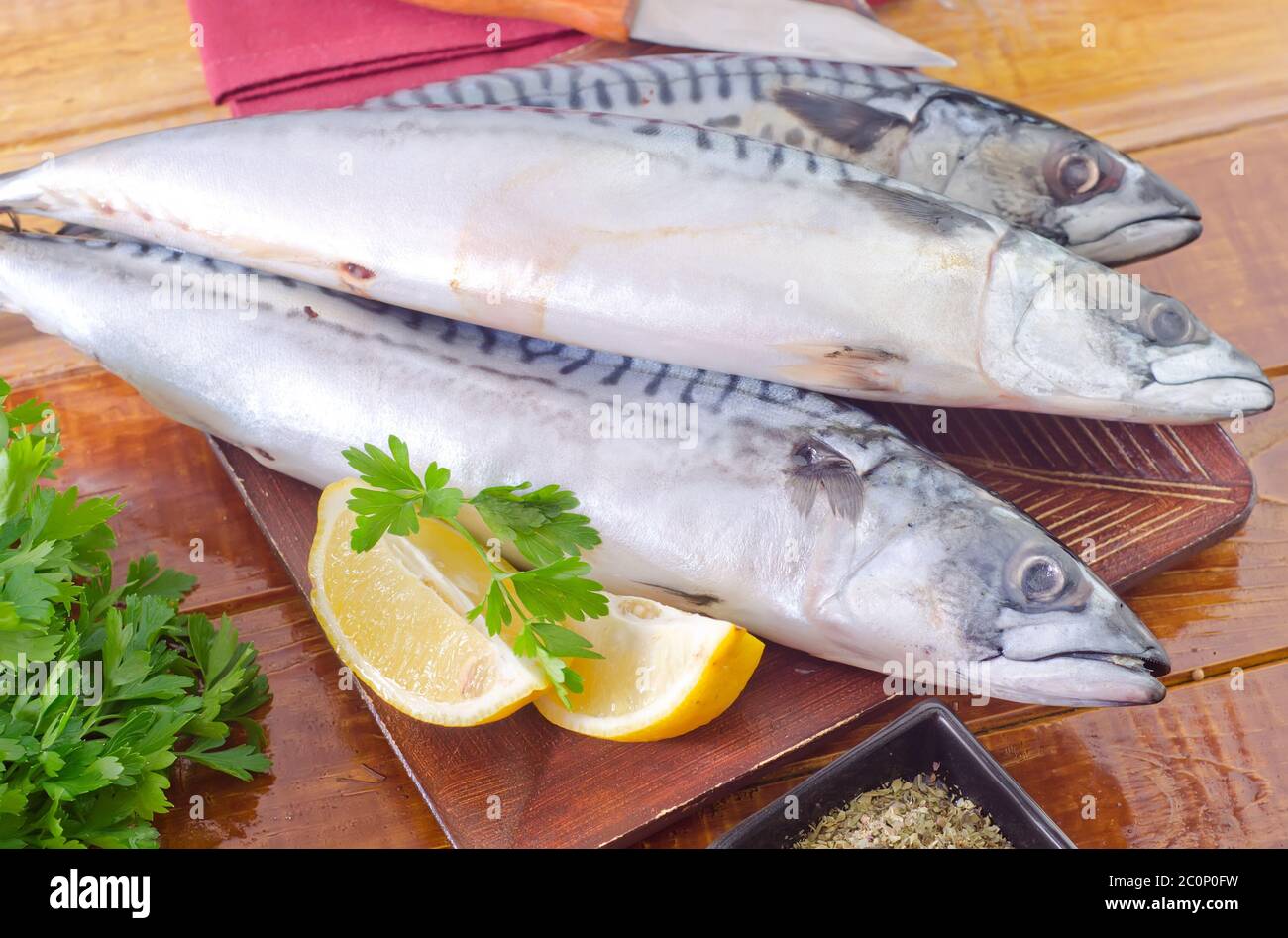 Hardhead fish hi-res stock photography and images - Alamy