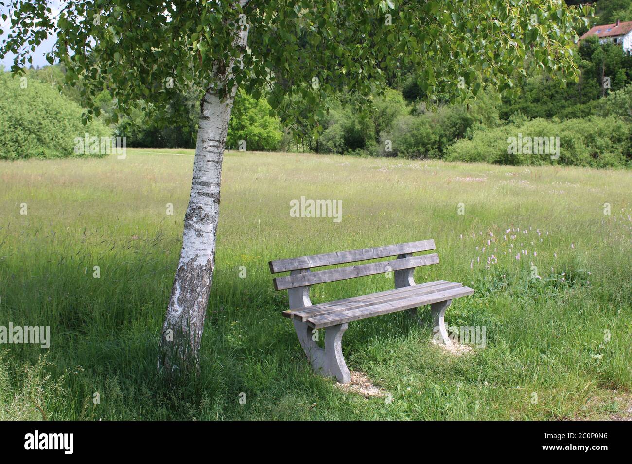 Inviting bench hi-res stock photography and images - Alamy
