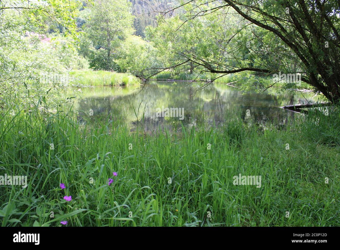 Silent environment hi-res stock photography and images - Alamy
