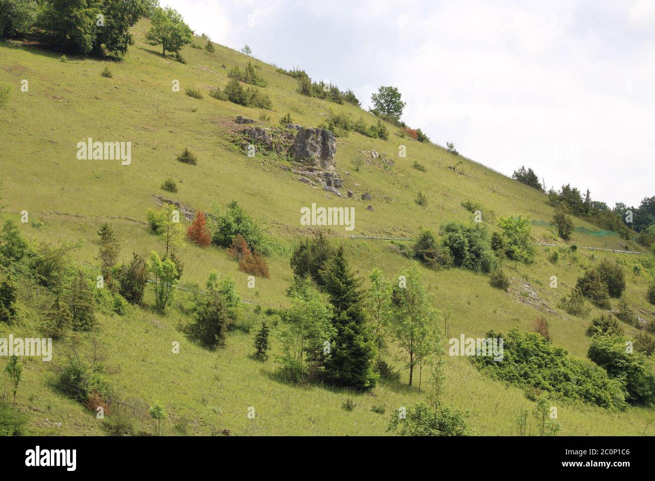 Rough moorland hi-res stock photography and images - Alamy