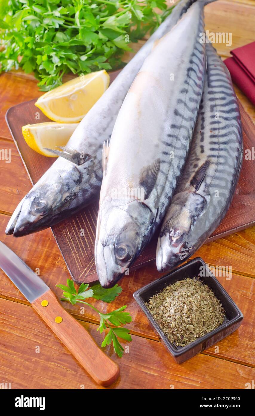 Hardhead fish hi-res stock photography and images - Alamy