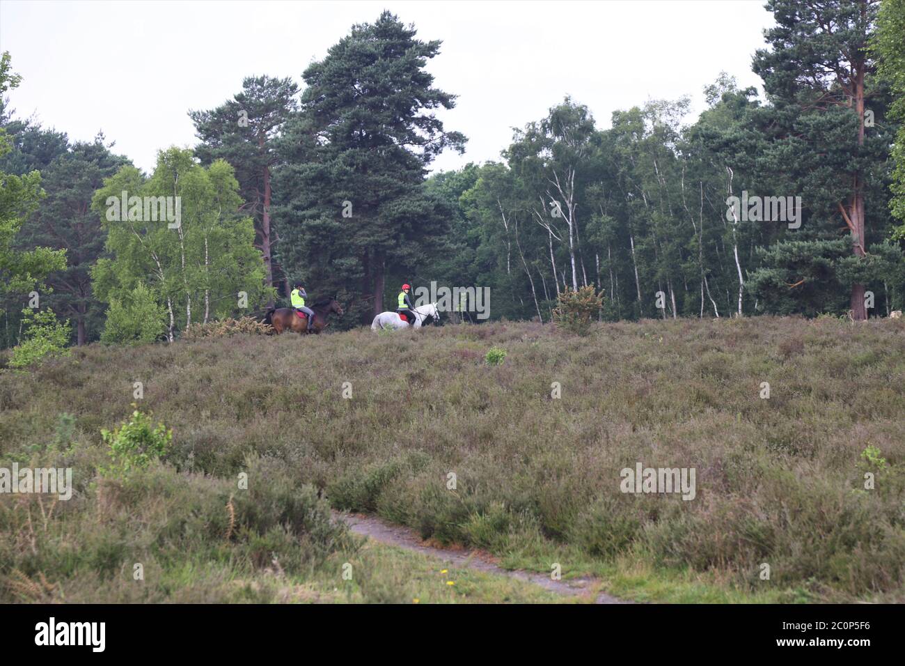 horse riders on common land Stock Photo - Alamy