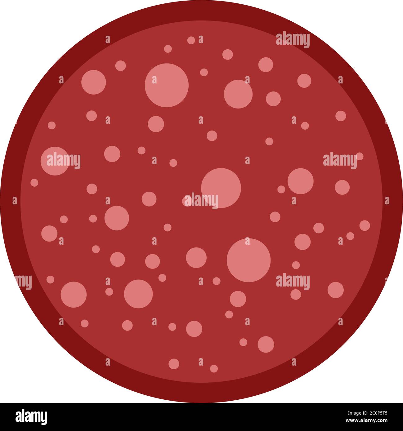 Round slice of sausage salami vector flat isolated Stock Vector Image ...