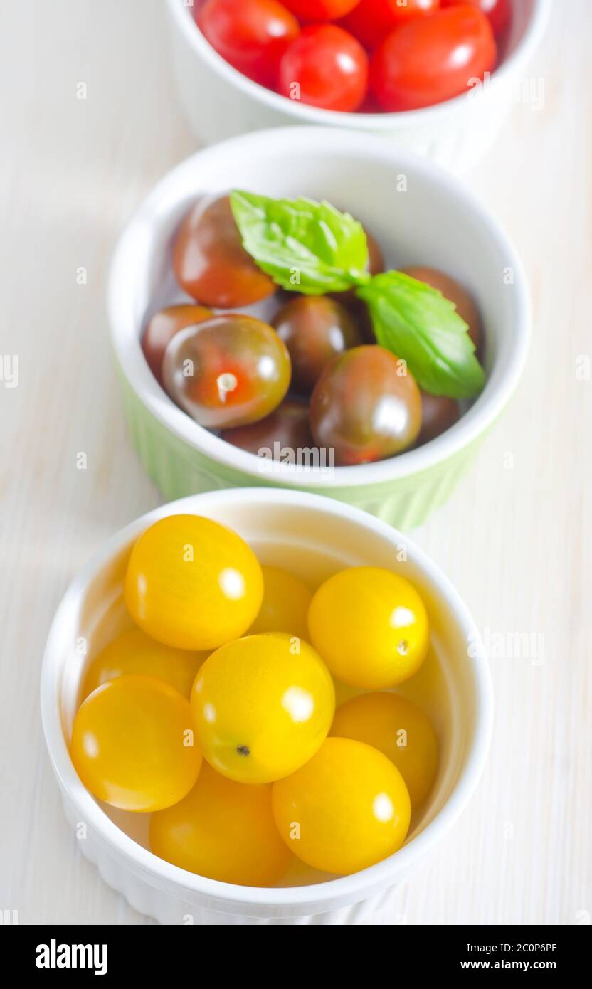 Mixed breed selection hi-res stock photography and images - Alamy