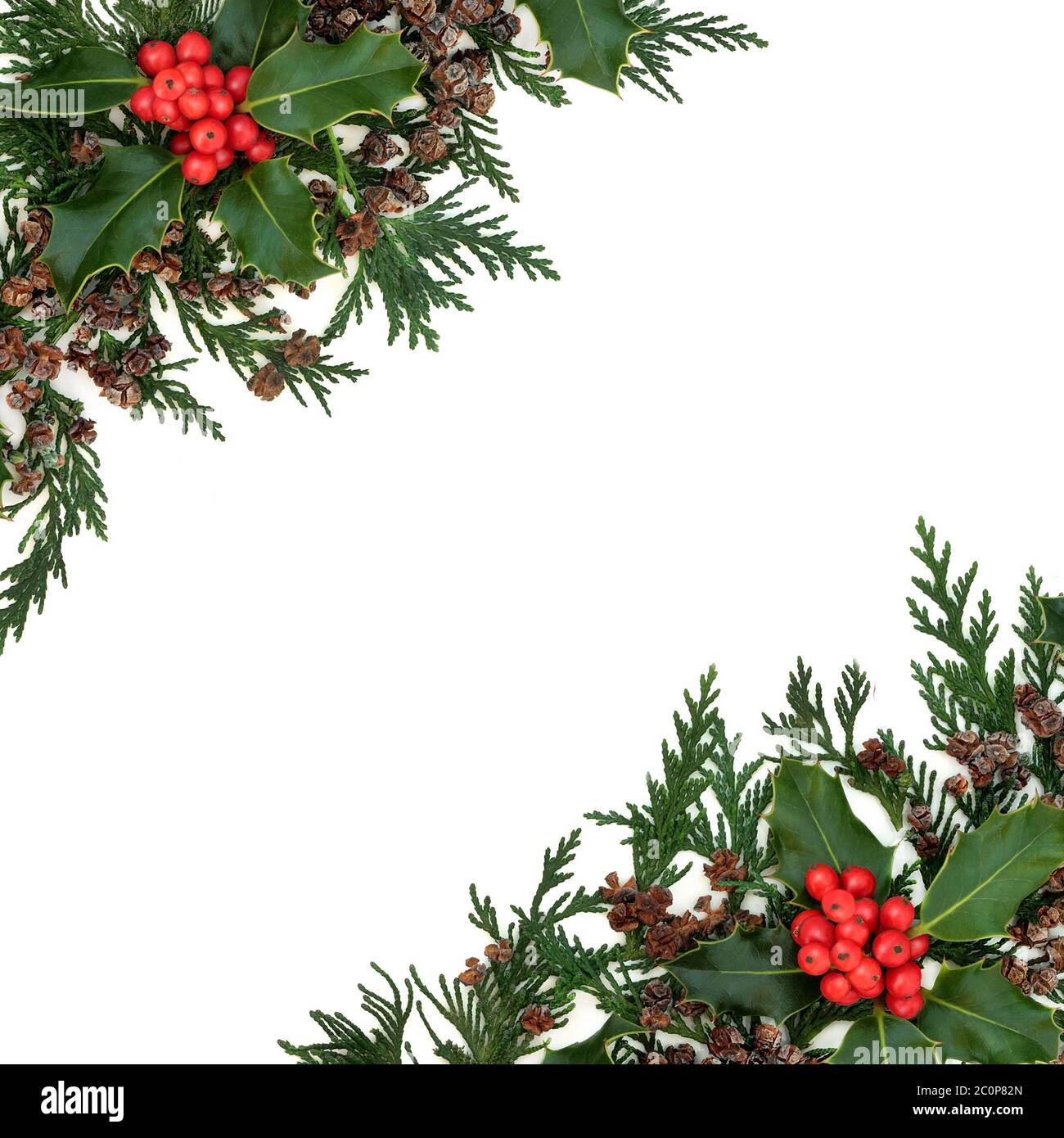 Mistletoe Corner Border