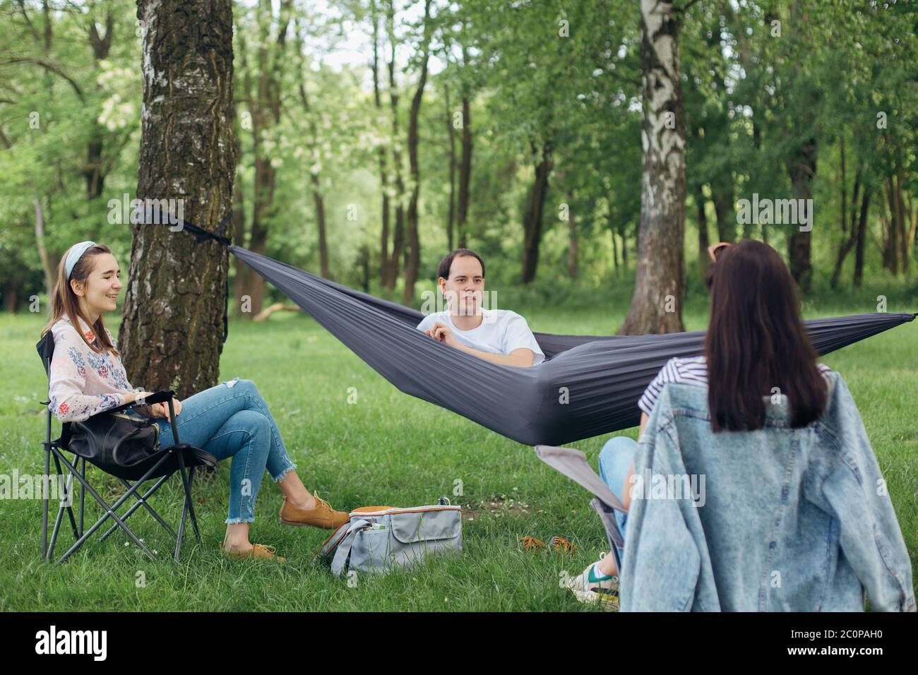 Small group of people enjoying conversation at picnic with social ...